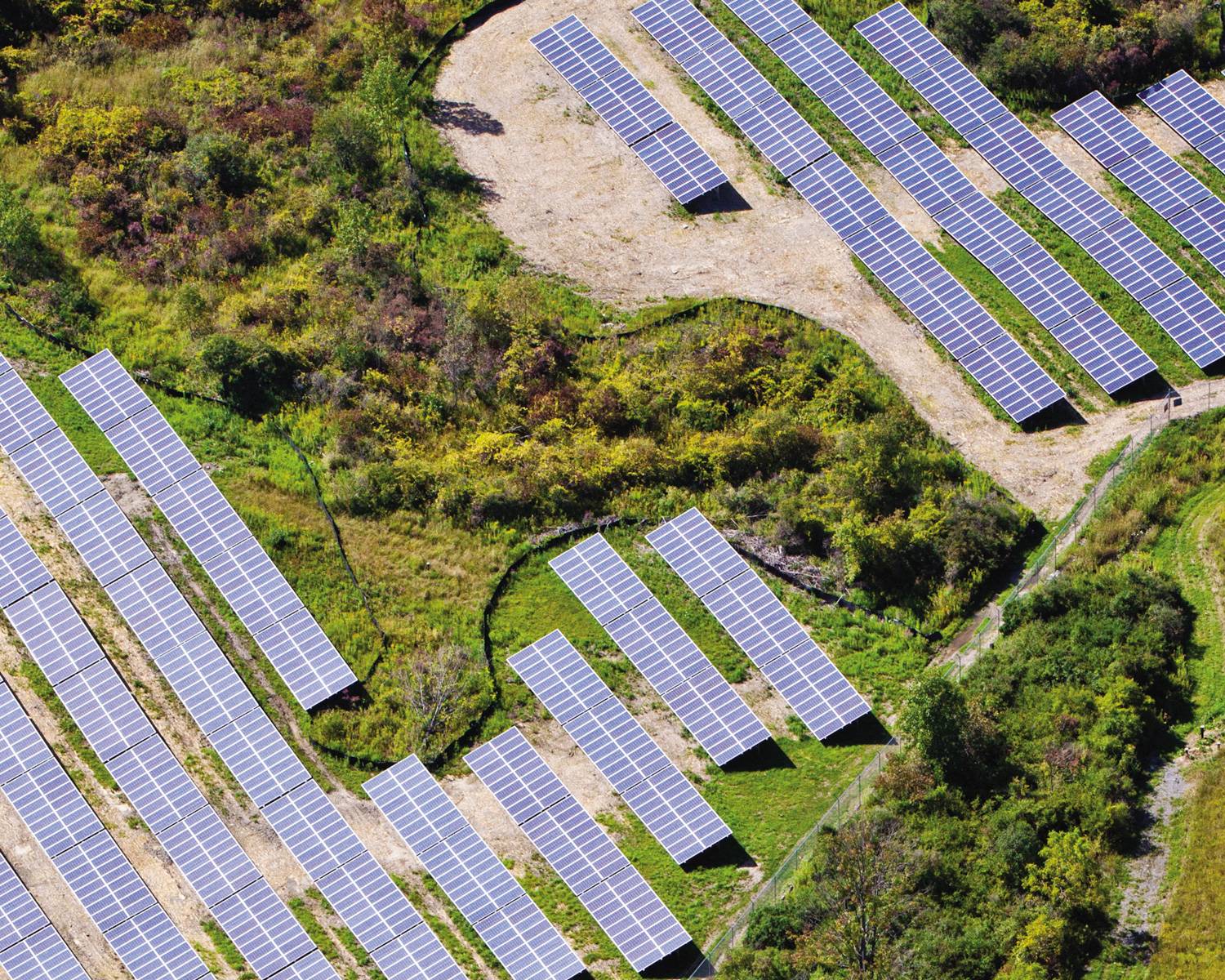 Cornell Implements First Solar Array to Expand Renewable Portfolio – PUPN