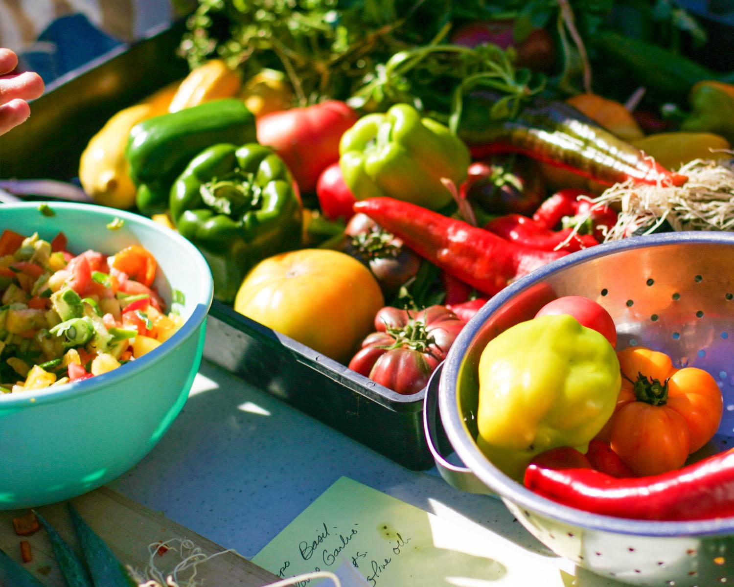 Models of Food Sustainability Practices: Warren Wilson College and ...