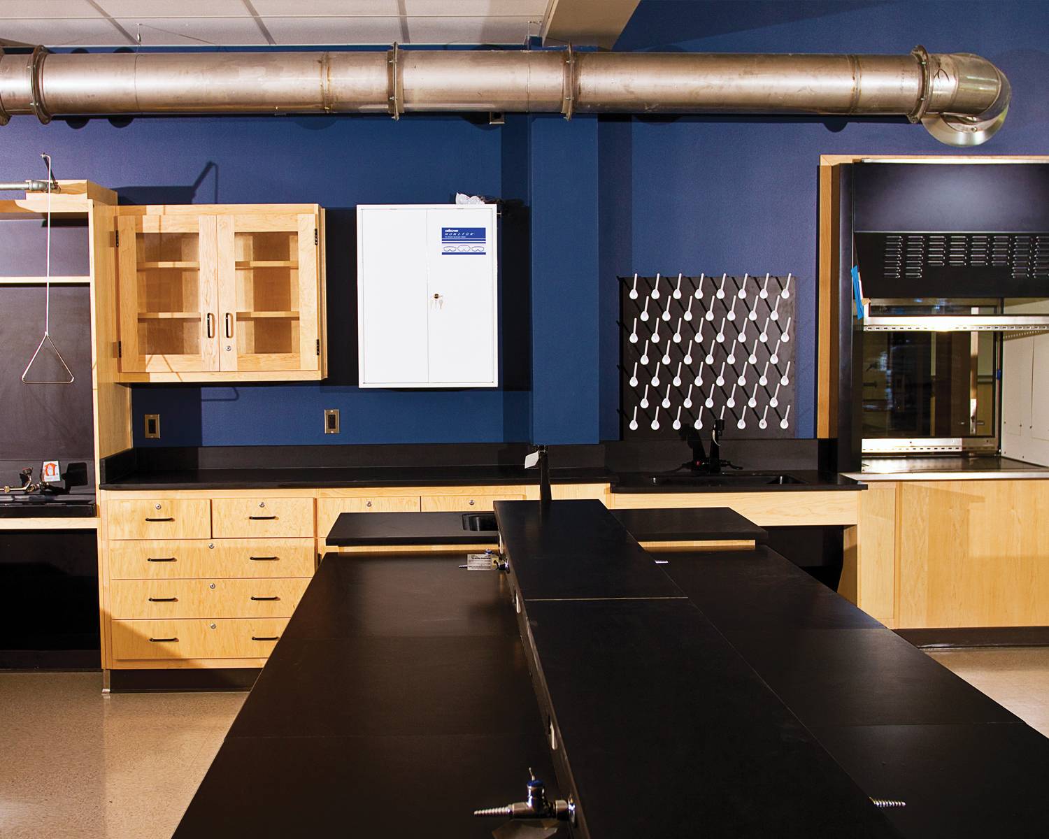 Creating More Sustainable Research Labs – PUPN