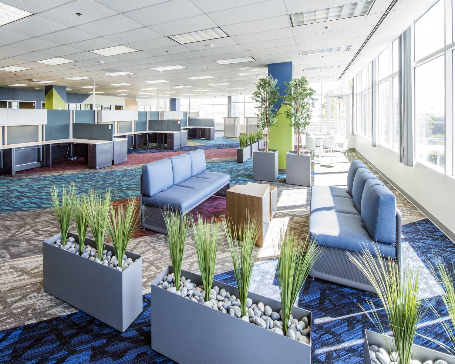 Choosing the Right Planter Material for Campus Projects – PUPN