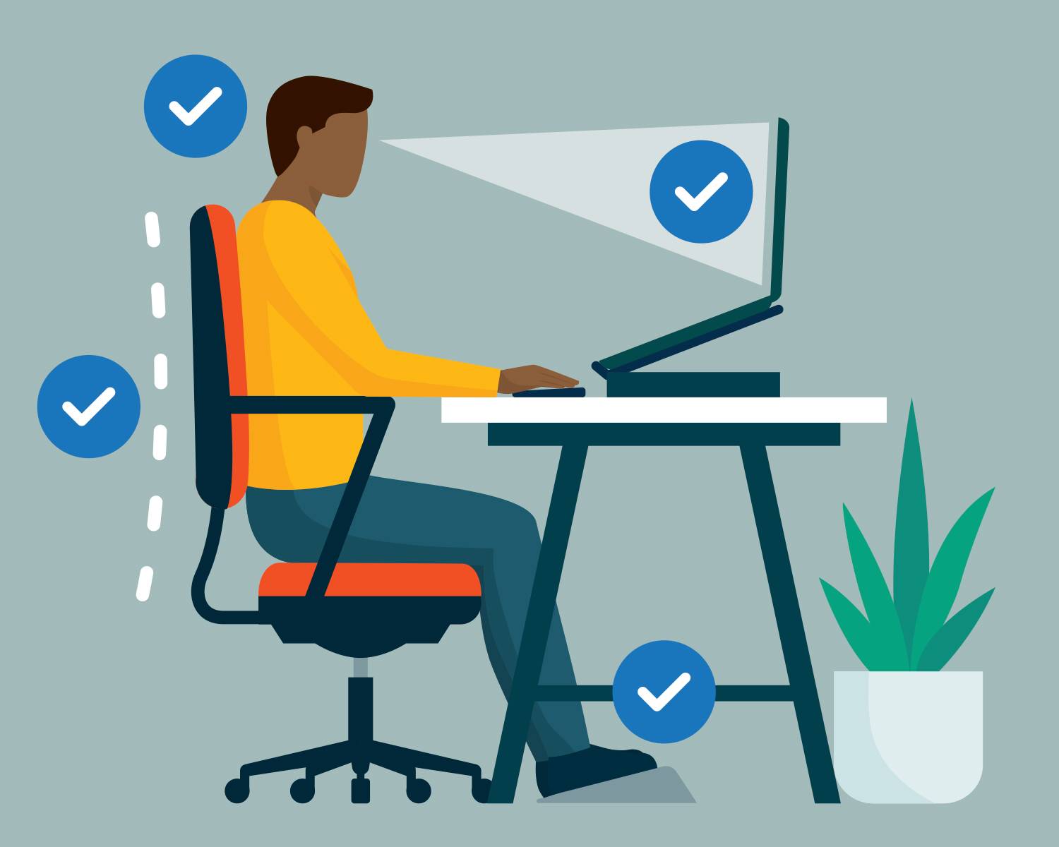 The Importance of Ergonomic Design – PUPN