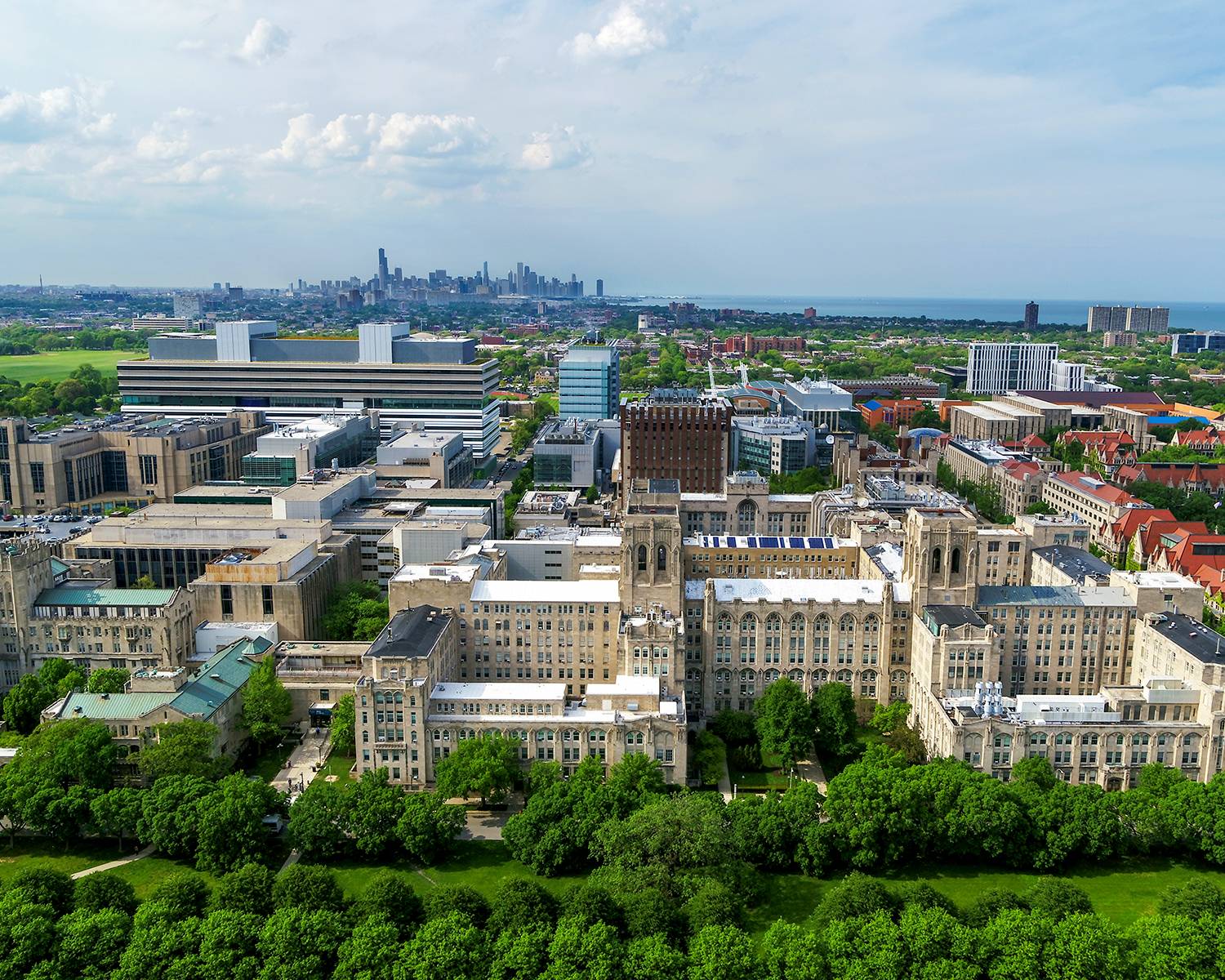 A Full Load: Teaching, Research, and Clinical Practice in Pathology at ...